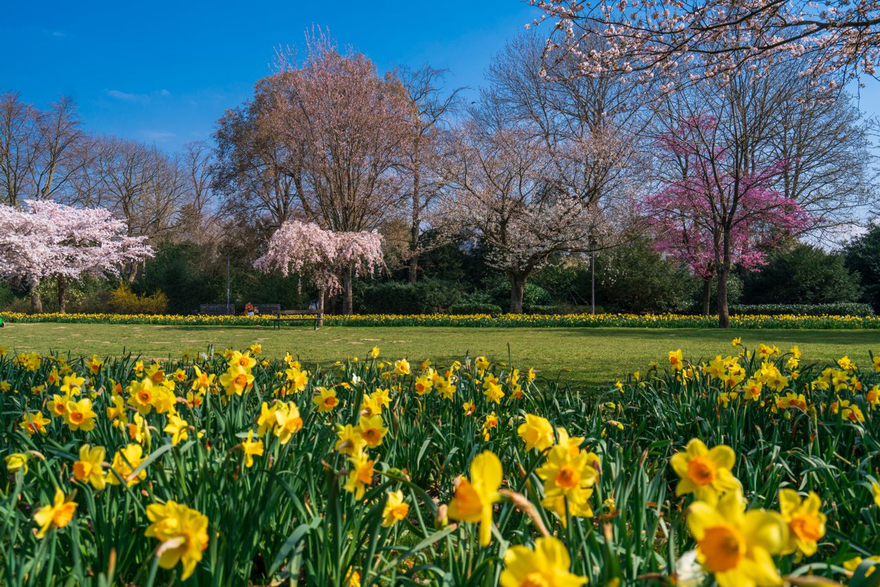 Springtime, setting the tone for the year ahead - Lawns of Distinction