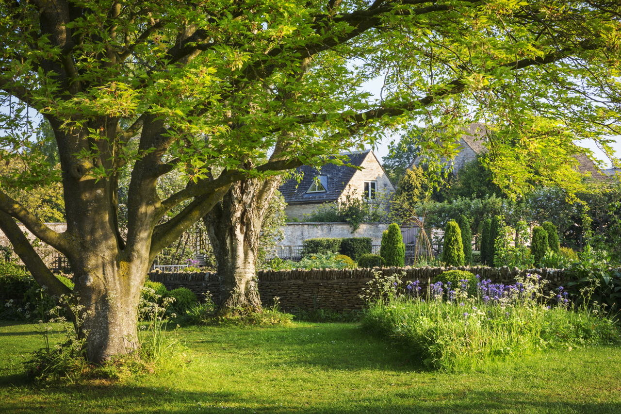 Top Ten May Gardening Jobs: Your Essential Guide - Lawns of Distinction
